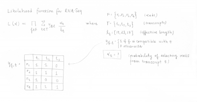 Understanding how kallisto works – IRIC's Bioinformatics Platform