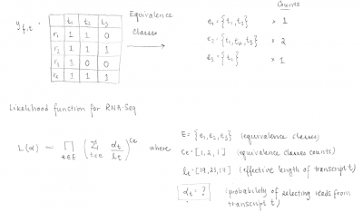 Understanding how kallisto works – IRIC's Bioinformatics Platform